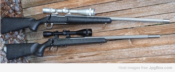 CZ 527 new stock ??? | Rimfire Central Firearm Forum